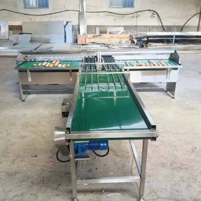 China Automatic Egg Sort Grade Weighing And Sorting Egg Machine Egg Grading Process Line Scale Grader Mini Sorter Egg Machine Commercial Egg Sorting Machine Automatic Egg Grading and Packing System for sale