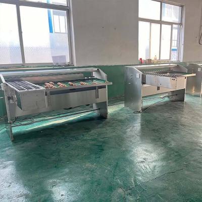 China Automatic Egg Sort Grade Weighing And Sorting Egg Machine Egg Grading Process Line Scale Grader Mini Sorter Egg Machine Commercial Egg Sorting Machine Automatic Egg Grading and Packing System for sale