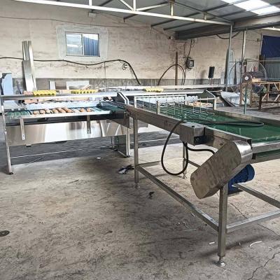 China Automatic Egg Sort Grade Weighing And Sorting Egg Machine Egg Grading Process Line Scale Grader Mini Sorter Egg Machine Commercial Egg Sorting Machine Automatic Egg Grading and Packing System for sale