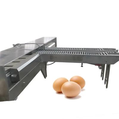 China Automatic Egg Sort Grade Weighing And Sorting Egg Machine Egg Grading Process Line Scale Grader Mini Sorter Egg Machine Commercial Egg Sorting Machine Automatic Egg Grading and Packing System for sale