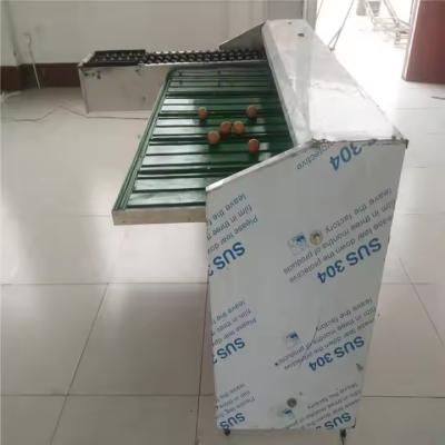 China Automatic Egg Sort Grade Weighing And Sorting Egg Machine Egg Grading Process Line Scale Grader Mini Sorter Egg Machine Commercial Egg Sorting Machine Automatic Egg Grading and Packing System for sale