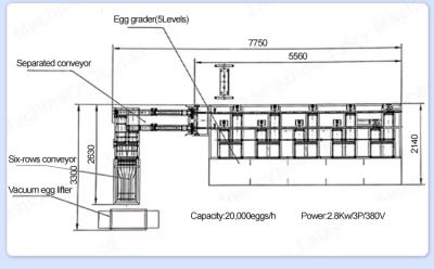 China Egg Sorter Egg Grading Machine Egg Grader Machine Production Line/Egg Weight Sorting Conveyor/5 Levels Industrial Stainless Steel Egg Grading Machine 5 Level Chicken Farm Egg Sorting Machine Egg Sort for sale