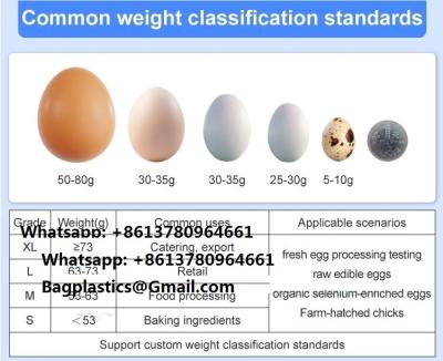 China Egg Sorter Egg Grading Machine Egg Grader Machine Production Line/Egg Weight Sorting Conveyor/5 Levels Industrial Stainless Steel Egg Grading Machine 5 Level Chicken Farm Egg Sorting Machine Egg Sort for sale