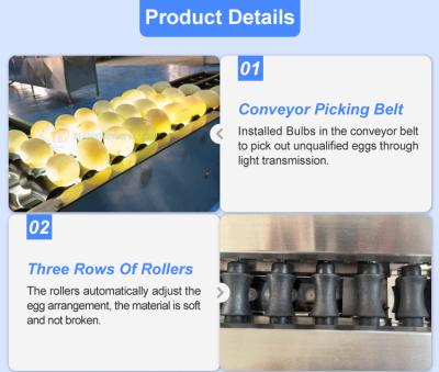 China Egg Sorter Egg Grading Machine Egg Grader Machine Production Line/Egg Weight Sorting Conveyor/5 Levels Industrial Stainless Steel Egg Grading Machine 5 Level Chicken Farm Egg Sorting Machine Egg Sort for sale