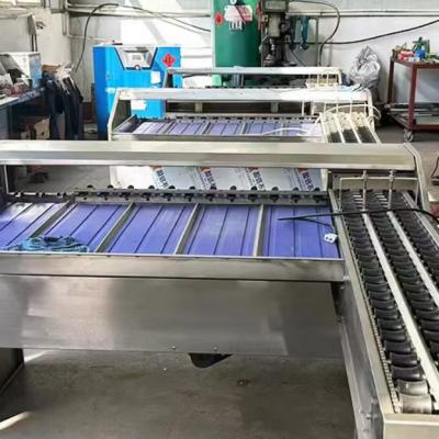 China Egg Sorter Egg Grading Machine Egg Grader Machine Production Line/Egg Weight Sorting Conveyor/5 Levels Industrial Stainless Steel Egg Grading Machine 5 Level Chicken Farm Egg Sorting Machine Egg Sort for sale