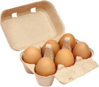 Quality biodegradable sustainable Paper Pulp Egg Cartons 3x4 Style Vintage Blank Egg for sale