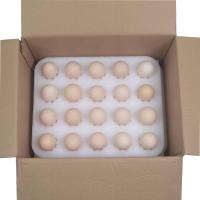 Quality Quality Assurance Custom EPE Egg Foam Tray Oem Wholesale Egg In Egg Carton Eco for sale