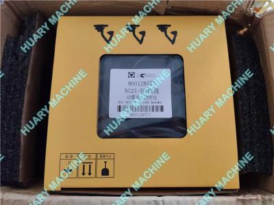 China Piezas del excavador de XCMG, equipo de reparación del cilindro del auge de 860128573 XG21-DB en venta