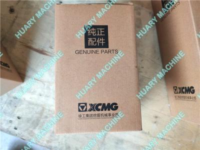 China Piezas del excavador de XCMG, filtro de succión 803410833 860149013 en venta