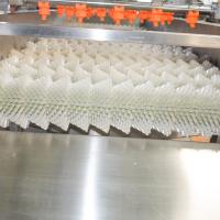 China Brush Vegetable Cleaning Peeling Machine for sale