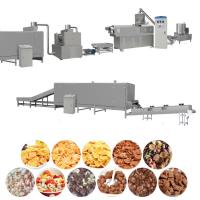 China 160kw 260kg/H Fruit Vegetable Drying Machine Snacks Making Machine for sale