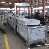 China Continuous Snack Fryer Machine 100-2000kg/h Electric or Gas Heating for Potato Chips for sale