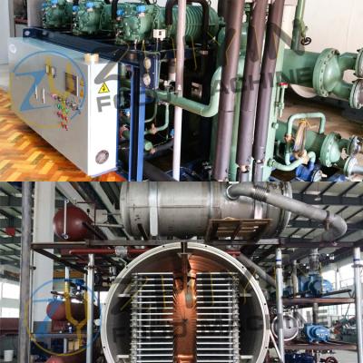China Fruit Slices Vacuum Freeze Dryer PLC Food Freeze Drying Equipment for sale