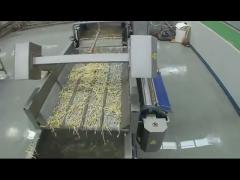 304 roestvrij staal ozon 2000kg/u fruit groente wasmachine