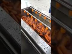 Automatische van de de Notensojaboon van de Rolborstel SGS van de Aardappelginger carrot peeling machine