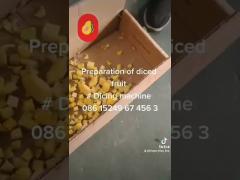 Fruit die het Plantaardige Snijmachines 1.5kw het Dobbelen Snijden afbreken