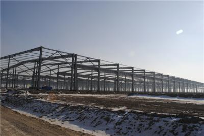 Cina la larga scala del complesso industriale della struttura d'acciaio 200000m2 ha prefabbricato la costruzione in vendita