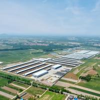 China Prefab Steel Structure Warehouse Building Customizable Fast Installation for sale