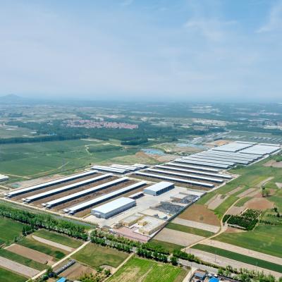 Capannone Prefabbricato in Acciaio Strutturale Personalizzabile e a Installazione Rapida