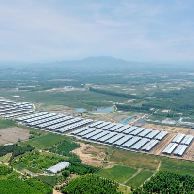 亜鉛メッキ鋼構造を備えたモダンな軽量鉄骨牛舎