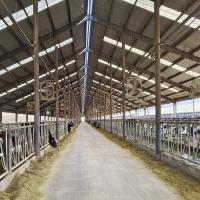 China High-Tech Integrated Steel Structure Cattle Shed for sale