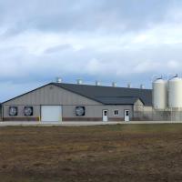 China High-Tech Integrated Steel Structure Cattle Shed for sale