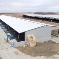 China High-Tech Integrated Steel Structure Cattle Shed for sale