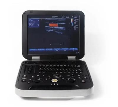 China Cheap Portable Color Doppler Ultrasound Machine PU-L151A for sale