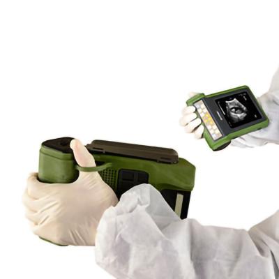 Cina Ultrasuono veterinario RKU10 dell'ospedale delle attrezzature di modo medico ultrasonico di Digital B in vendita
