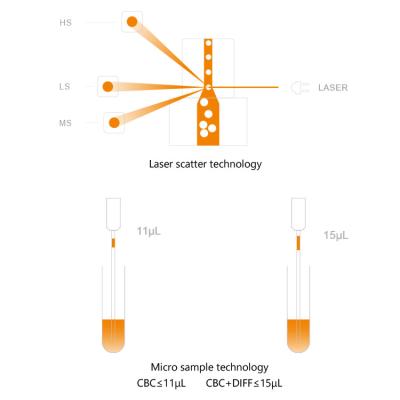 China 240V 60HZ Clinical Analytical Instruments Cell Counter Hematology Analyzer for sale