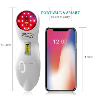 Cina dispositivo freddo tenuto in mano di terapia laser di sanità di 808nm 650nm di sollievo dal dolore medico dell'attrezzatura in vendita
