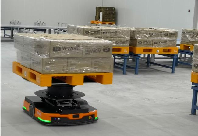 Cold Storage Warehouse ASRS