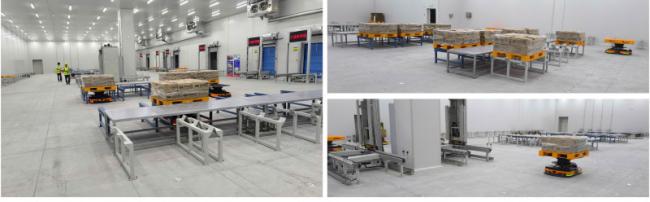 Cold Storage Warehouse ASRS