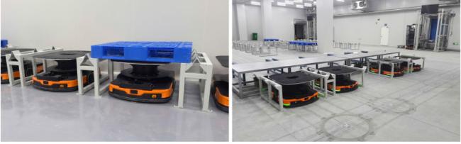 Cold Storage Warehouse ASRS