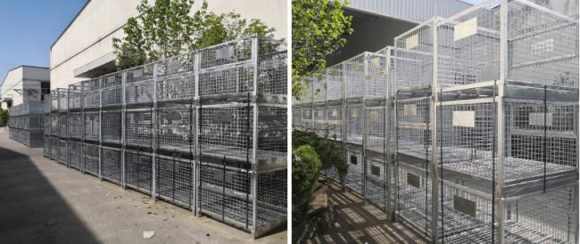 Steel Wire Mesh Pallet Cage