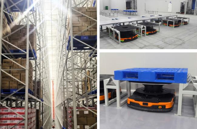 Double Deep Pallet Stacker ASRS