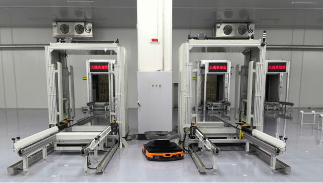 Double Deep Pallet Stacker ASRS