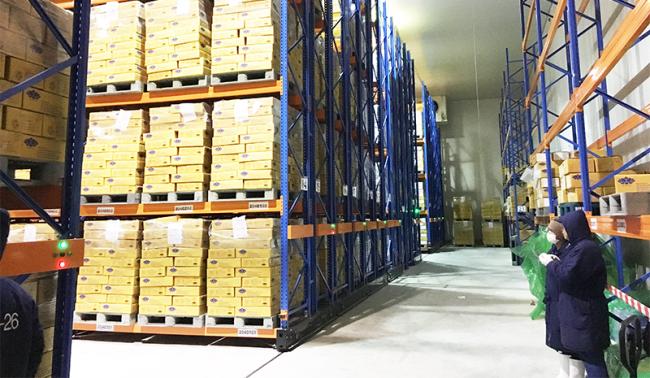Electric Mobile Racking  Frozen Warehouse Cold Storage Warehouse Storage Rack