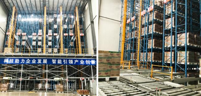 Logistic Inventory Automation System ASRS With Selective Storage Racking
