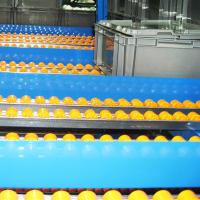 China Carton Flow Rack Gravity Roller Racking for sale