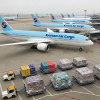 Quality UPS Airlines From China To Europe Freight Forwarder Door To Door for sale