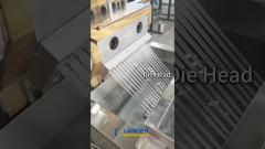 Plastic PP/PE/LDPE Soft PVC Transparent Profile Extruder Hanging Clip Strip Adhesive Price Shelf Label Tag Holder Data Strip Supermarket Shelves Making Machine