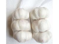 China Garlic Mesh Bag 100g Roll for Fruit Vegetable Packaging with Air Circulation for sale