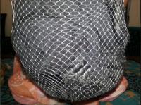 China Thick Milky White Plastic Mesh Net for Fruit Vegetable Packaging 1.5mm Hole 50cm Width for sale