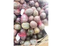 China Protective Plastic Packaging Net Shockproof Thickened Express Net Bag 100g per Roll for sale
