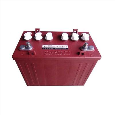 Cina T1275 Batteria di sollevamento aereo Mozziera sostituzione della batteria di sollevamento per Genie Dingli Sinoboom in vendita