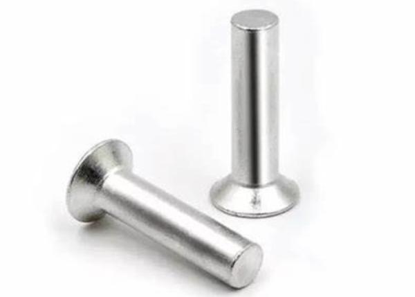 Quality 7/8 7/16 1/2 Stainless Steel solid rivet SUS 304 SUS 316 A2 A4-80 Round head for sale