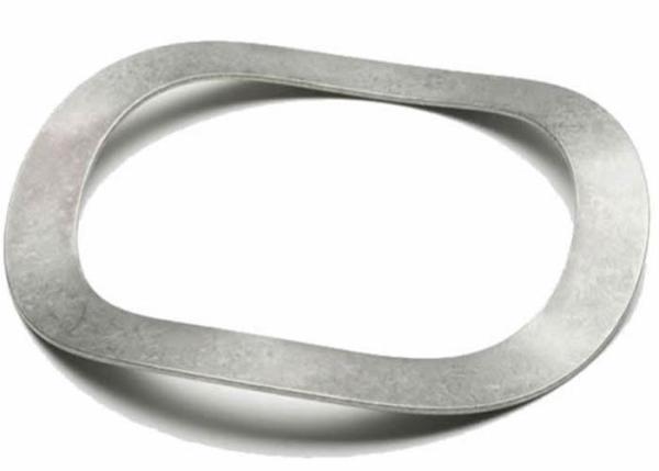 Quality M2 M5 M10 Stainless Steel ANSI AISI 304 316 Curved Spring Washers GB860 for sale