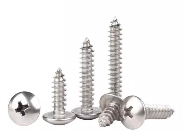 Quality Top Quality Stainless Steel SS304 SS316 Phillips Pan Head Tapping Screw DIN7981 for sale