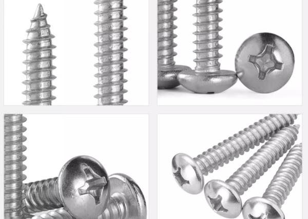 Quality Top Quality Stainless Steel SS304 SS316 Phillips Pan Head Tapping Screw DIN7981 for sale